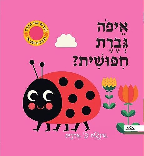 דניאלגן - ציוד לגני ילדים | ספר איפה גברת חיפושית | ספרים